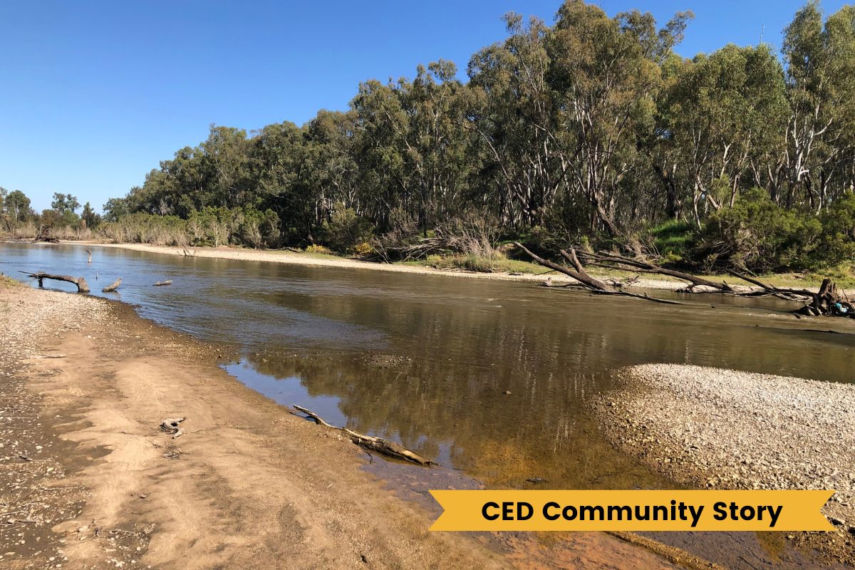 Toomelah Local Aboriginal Land Council (TLALC) - Microenterprise ...