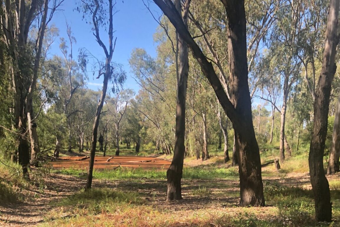 Toomelah Local Aboriginal Land Council (TLALC) - Microenterprise ...