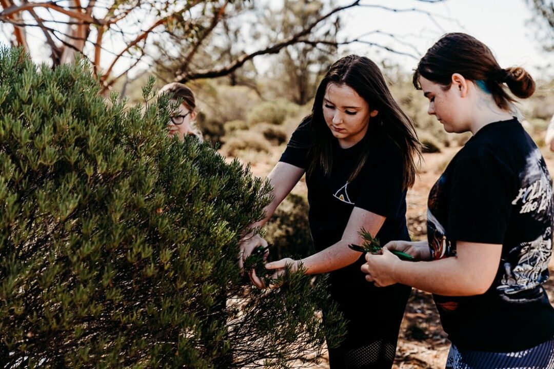 Scotdesco Aboriginal Community, Wardu Camp, Bookabie SA ...