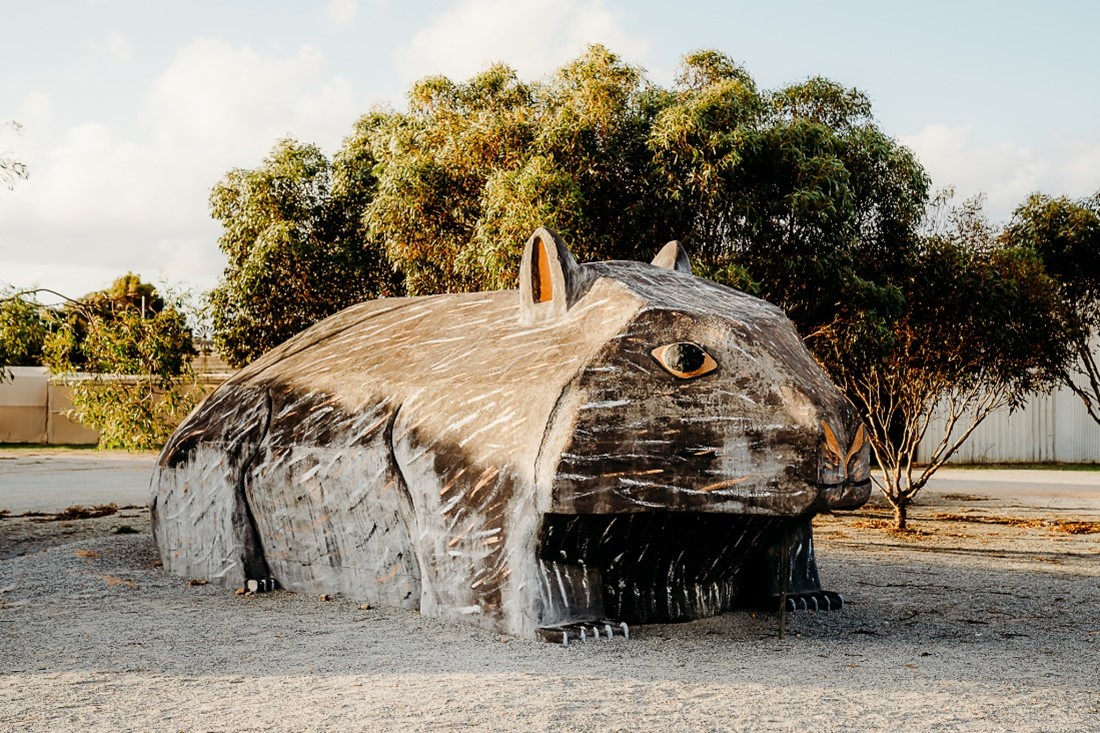 Scotdesco Aboriginal Community, Wardu Camp, Bookabie SA ...